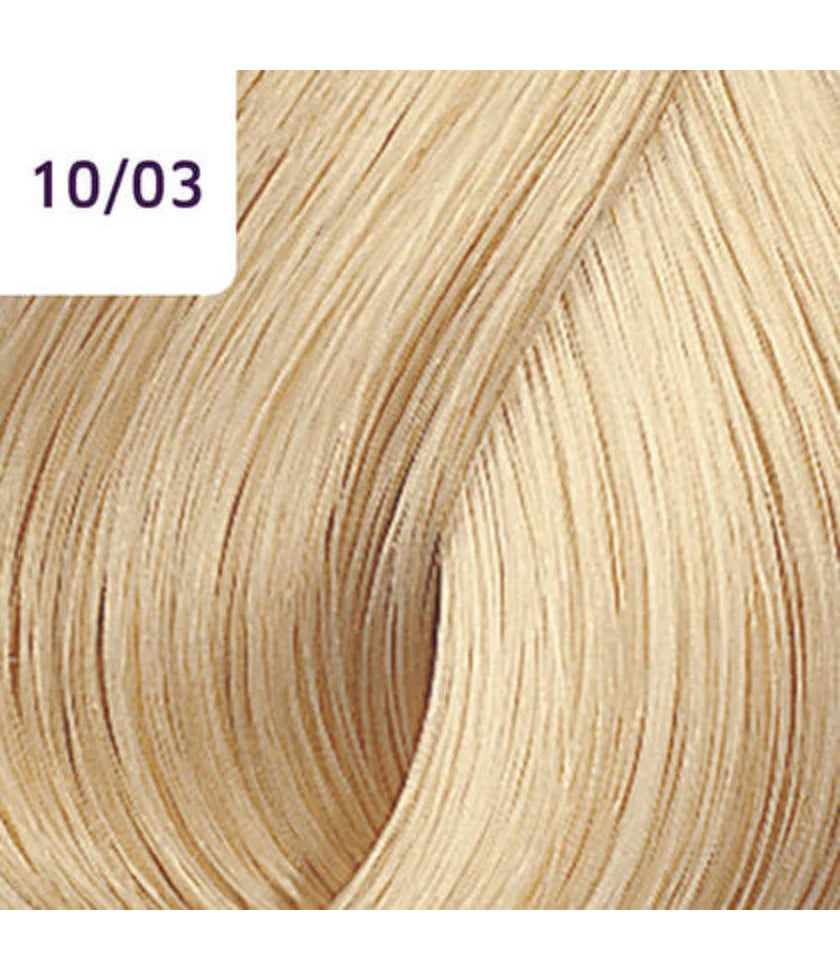 Wella Color Touch Semi Permanent Hair Colour 10/03 60ml – Beautopia ...
